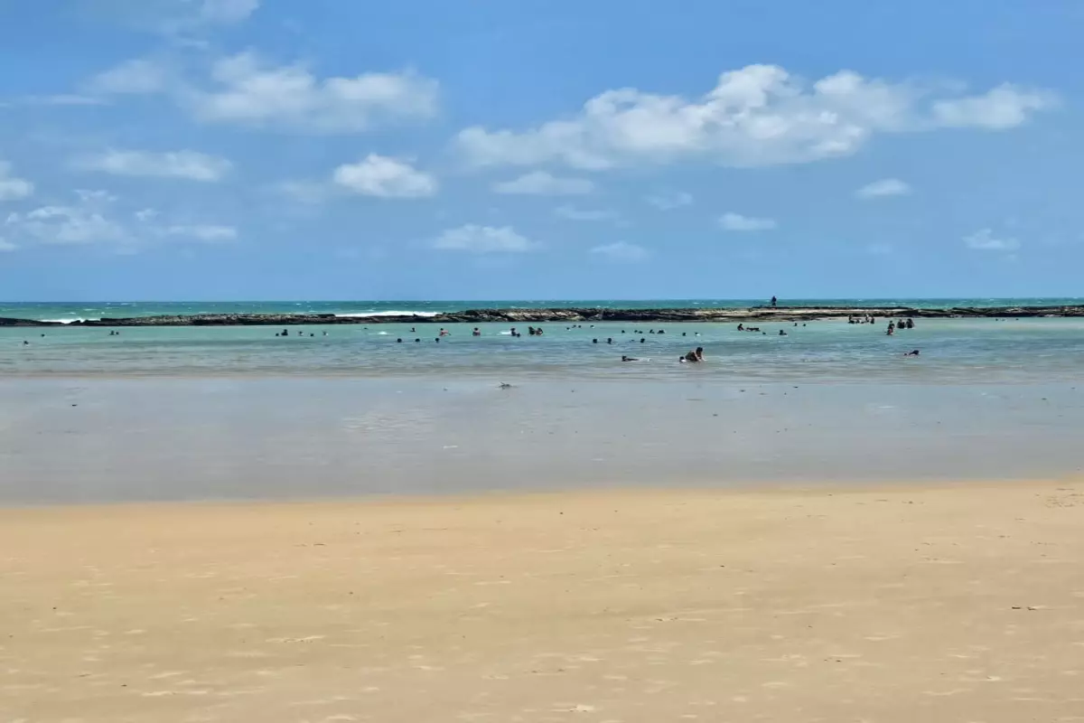 As 5 Melhores Praias de Natal que Você Precisa Conhecer!